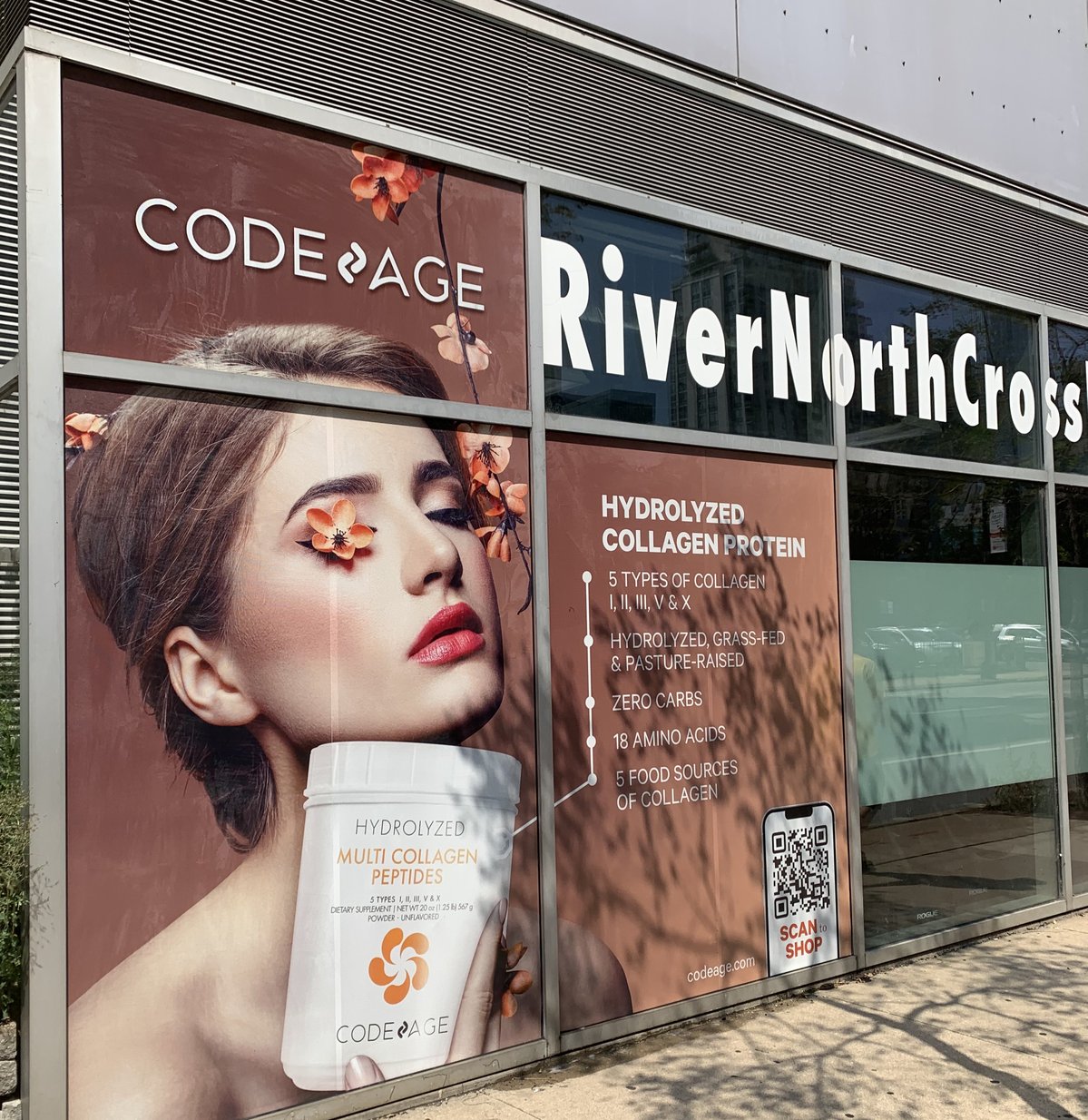 Vinyl Window Graphics To Grow Your Business | Cushing
