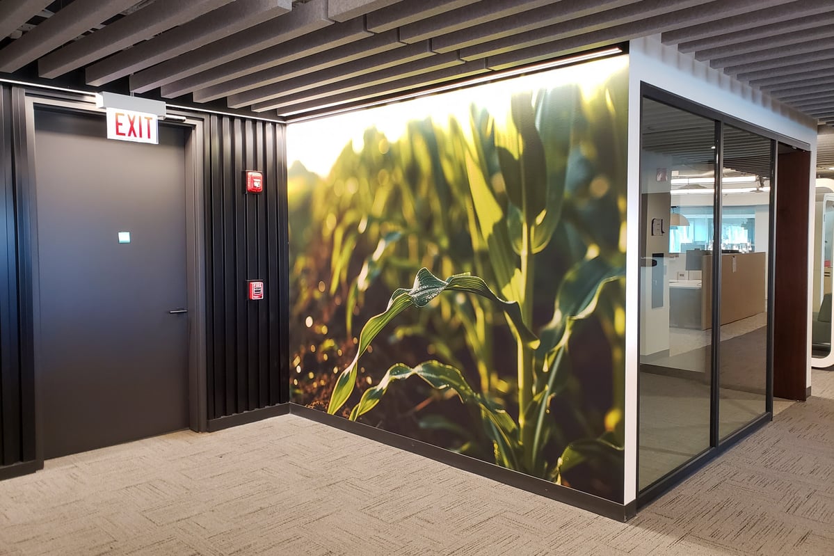 Custom Wallpaper And Mural Printing Services - Chicago, IL | Cushing