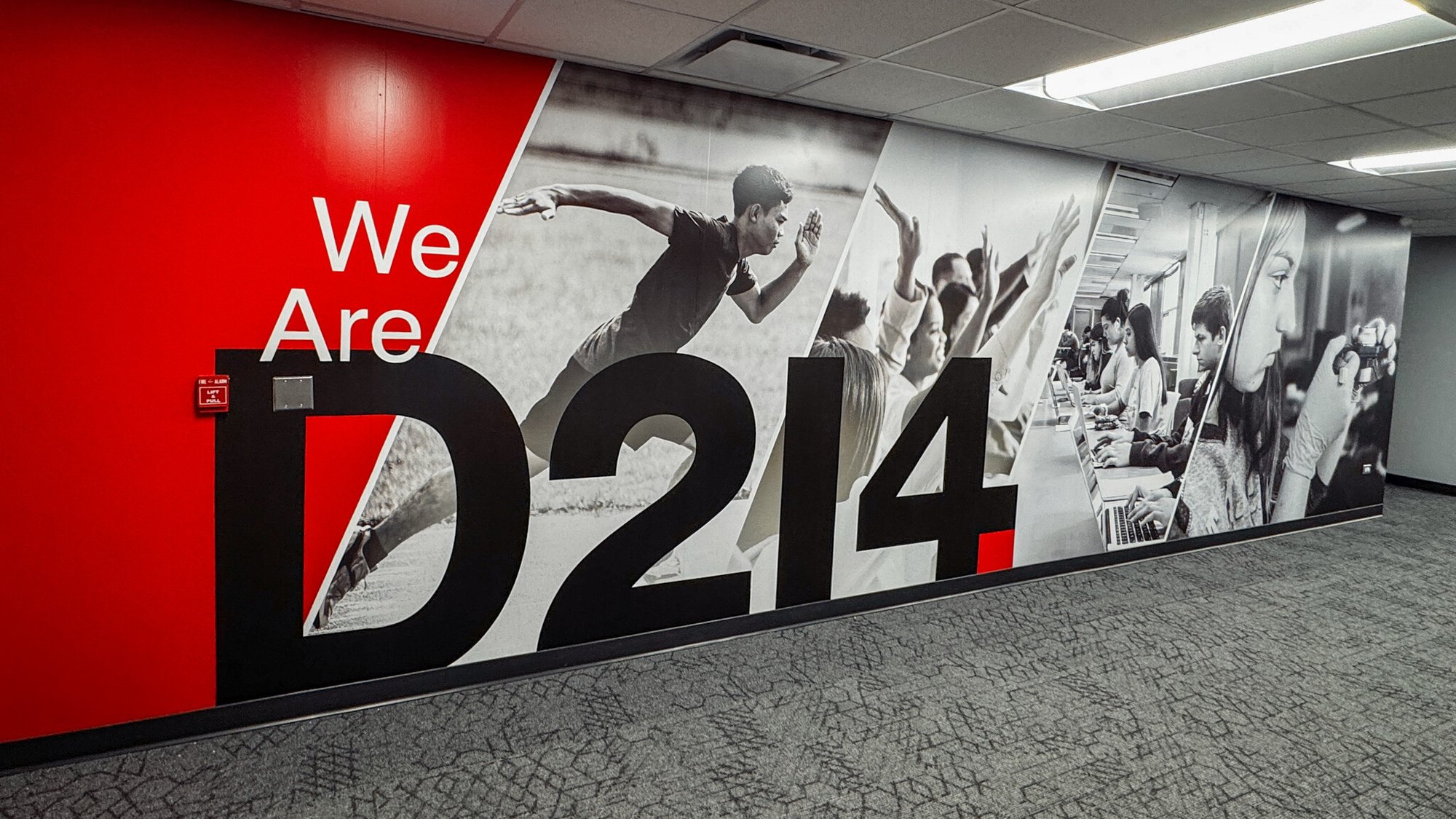 Custom Wallpaper And Mural Printing Services - Chicago, IL | Cushing