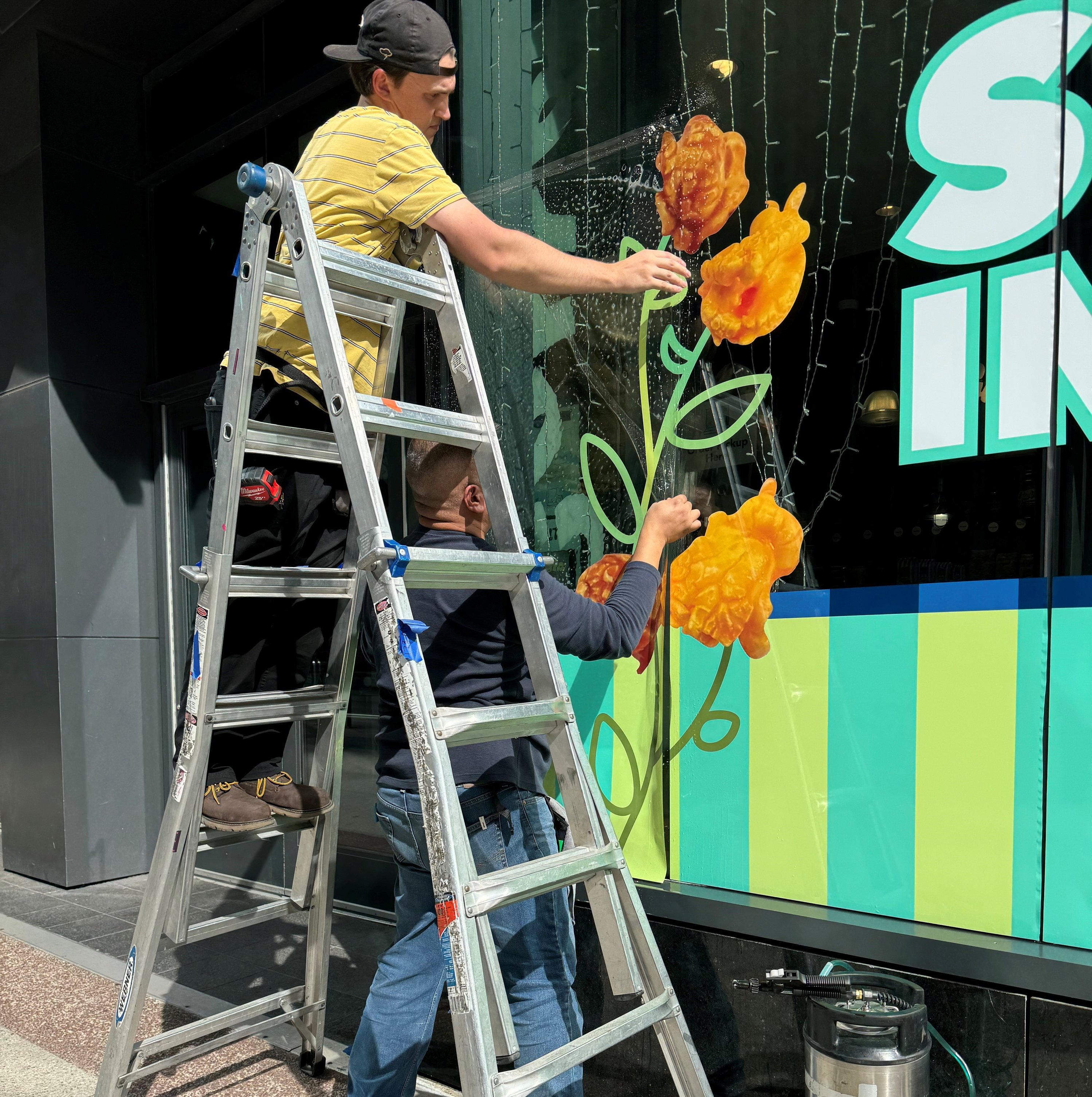 Vinyl Window Graphics To Grow Your Business | Cushing